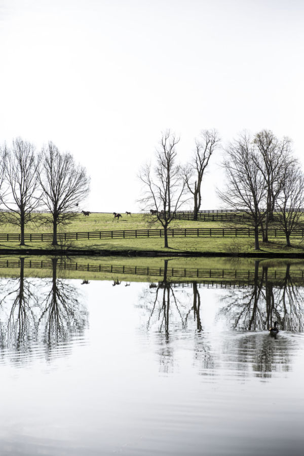 Stonestreet Farms: the racehorse operation of Jackson Family Wines ...