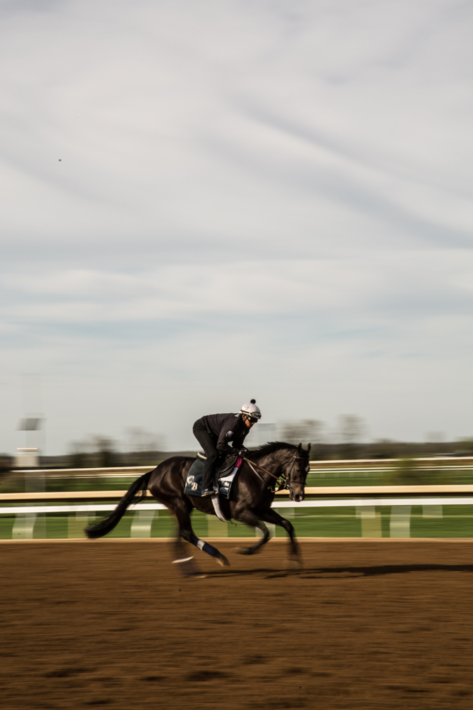 Stonestreet Farms - Club Oenologique