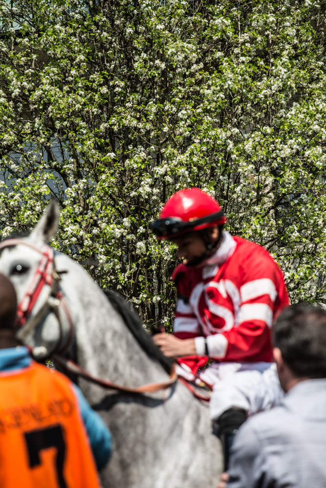 Stonestreet Farms - Club Oenologique