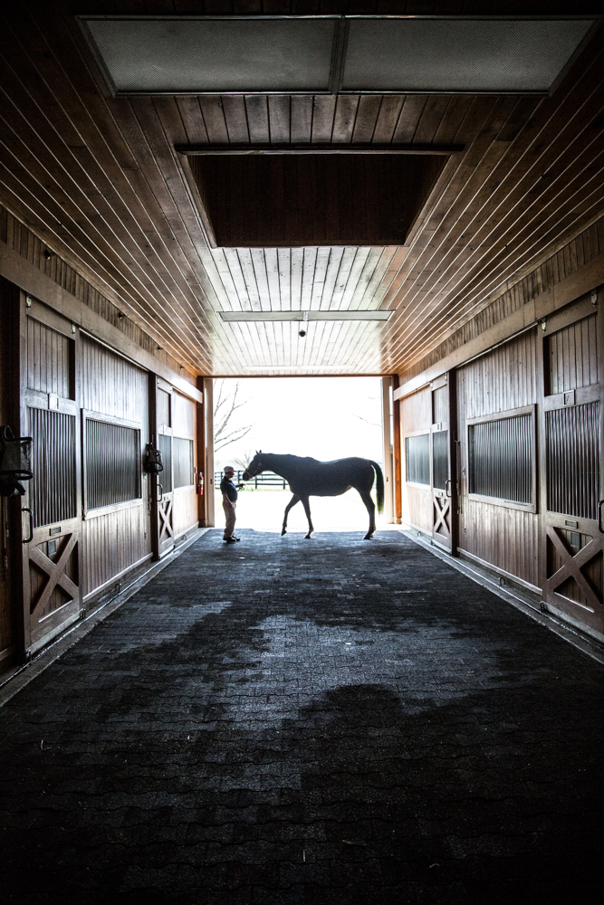 Stonestreet Farms - Club Oenologique