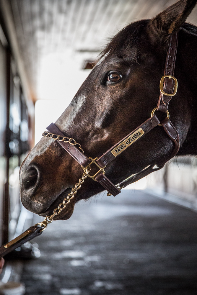 Stonestreet Farms - Club Oenologique