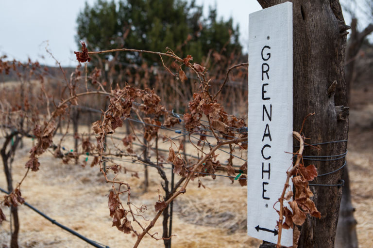 The Top 10 Grenache Wines You Need to Taste Today