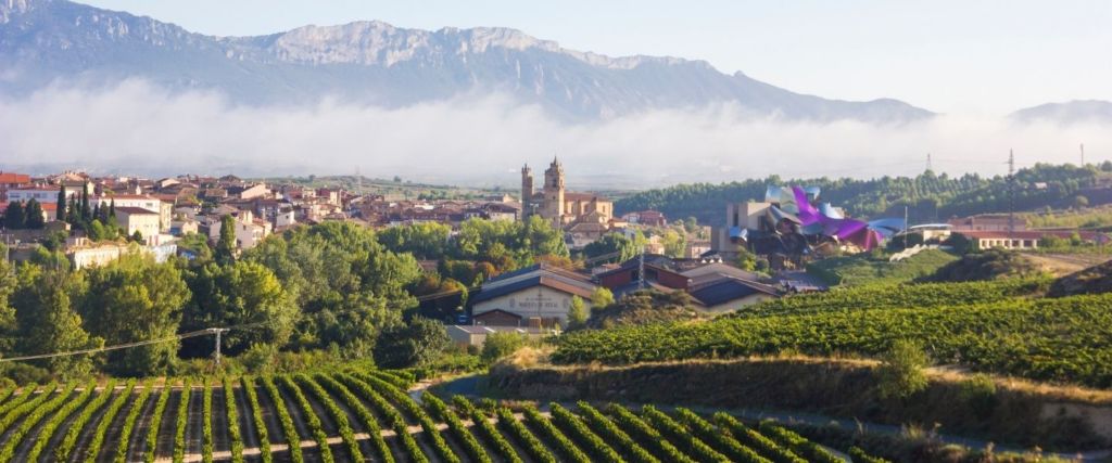 Best Rioja red wines: 10 award-winning Spanish reds to try