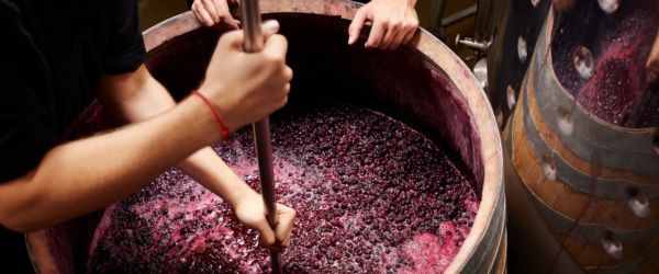 Best Rioja red wines 2024: 14 award-winning Spanish reds to try