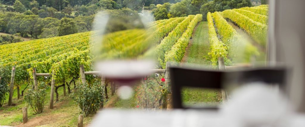 Nina Caplan: 'In 2022, I want to drink wine with the people who made it'