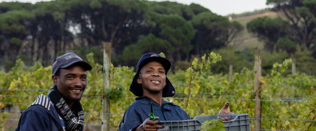 The Drinking Hour podcast: Rollo Gabb of Journey's End