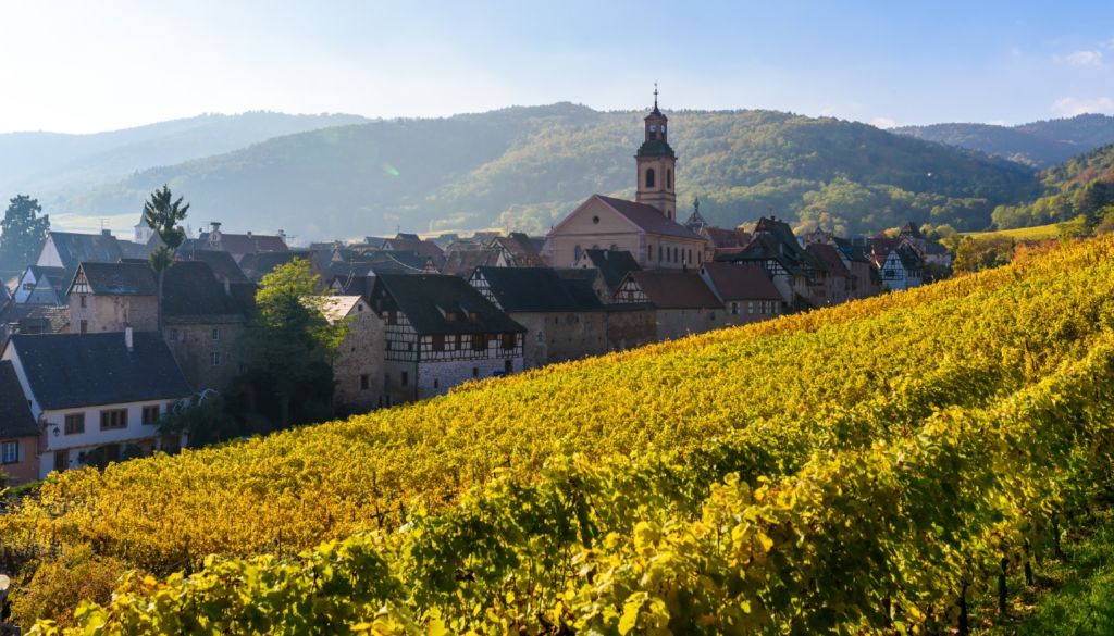 Alsace wine: why the French region's wines shine so brightly