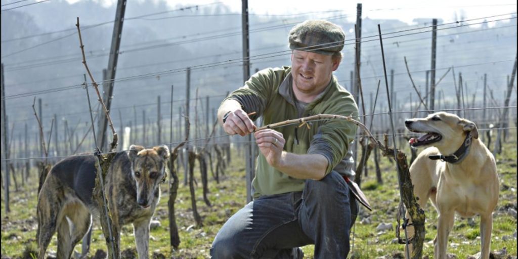 The Drinking Hour podcast: Dermot Sugrue - Club Oenologique