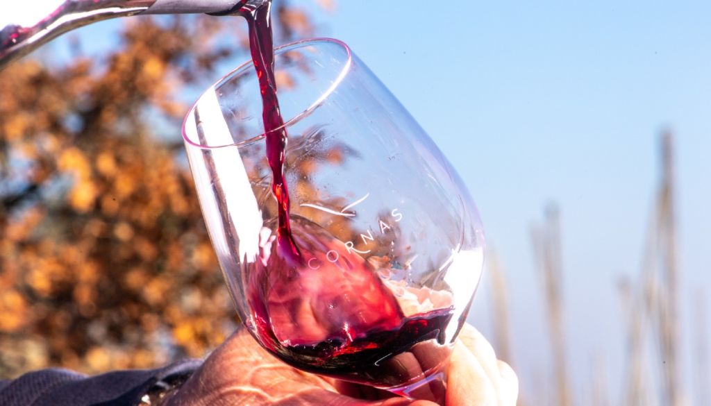 Best Cornas wines: 10 top bottles for the cellar