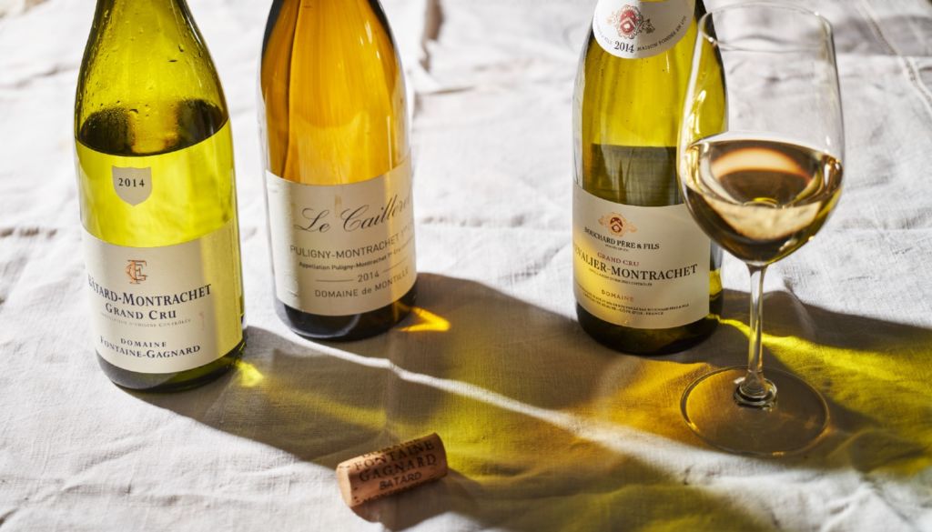 Chardonnay: understanding the grape and its greatness