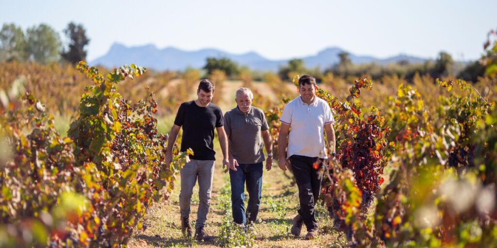 Valencia wine: The region's time to shine