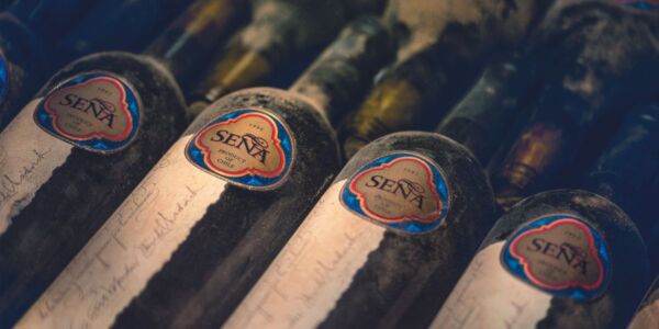 Seña wine 1995-2021: tasting Chile's icon wine