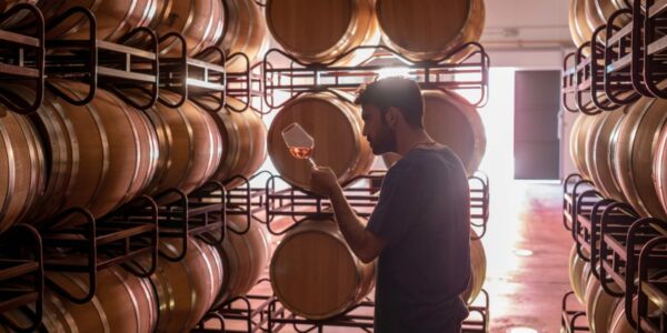 A brave new world for rosé winemaking - Club Oenologique